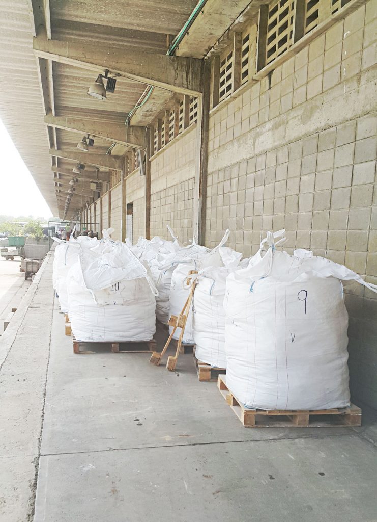 Services – recysol